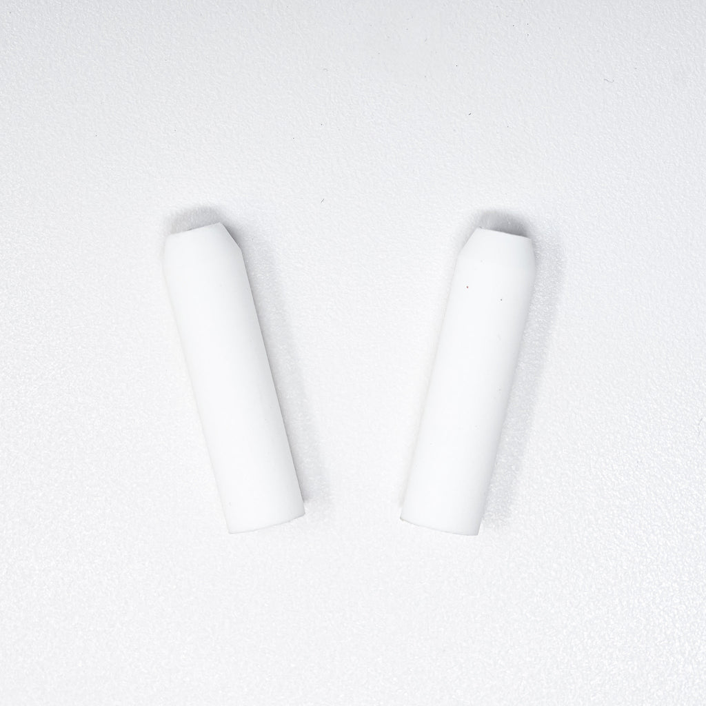 Inlet Filter Elements - 2 Pack – Teledyne ISCO